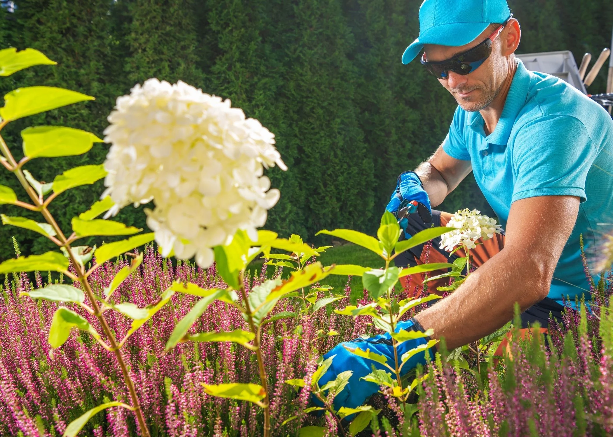 Commercial Seasonal Landscaping Services – Bucks County PA