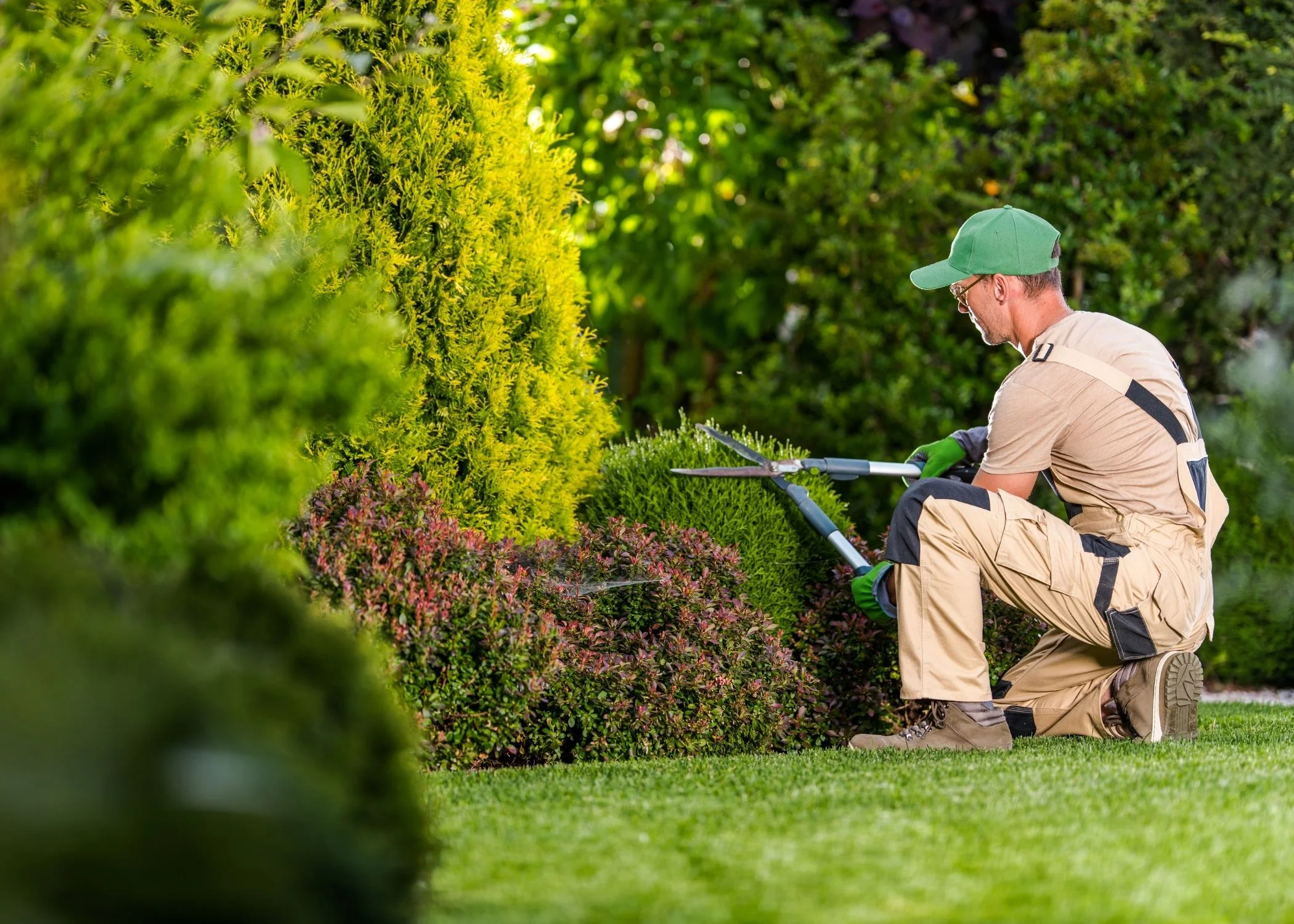 Commercial Seasonal Landscaping Services – Bucks County PA
